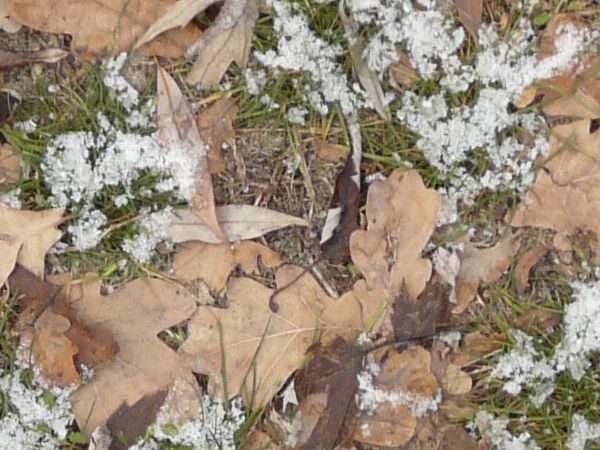 frozen ground texture 0027 - Texturelib